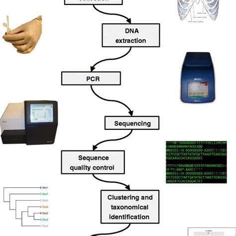General Workflow Of A Microbiome Study From Design To Data Analysis