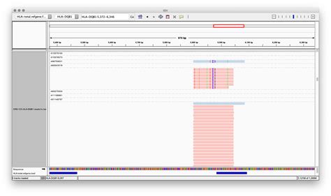 Haplotype Caller Missed Variant GATK