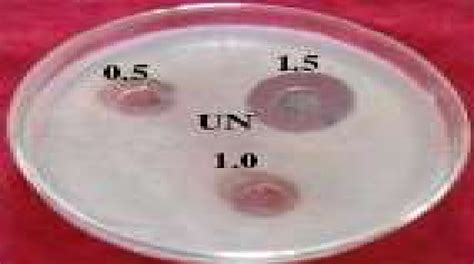Growth Curve Of Un Showing Production L Brevis Pattern Of Bacteriocin Download Scientific Diagram