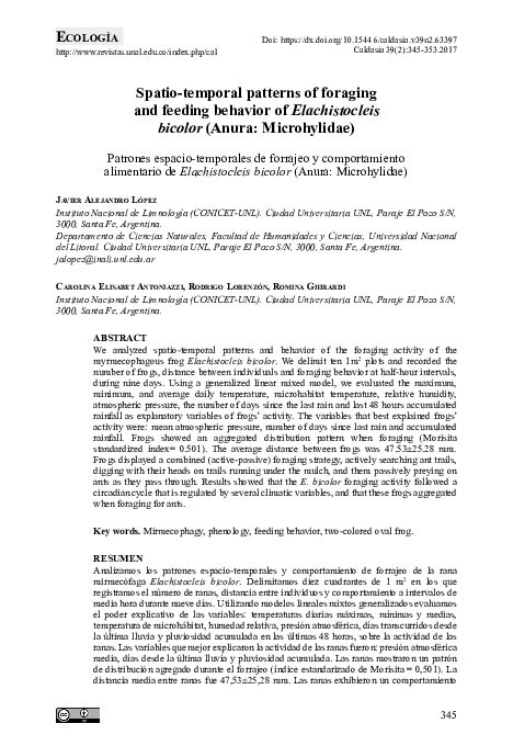 Pdf Spatio Temporal Patterns Of Foraging And Feeding Behavior Of Elachistocleis Bicolor Anura