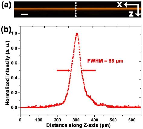 Figure 1 From Label Free Light Sheet Microfluidic Cytometry For The