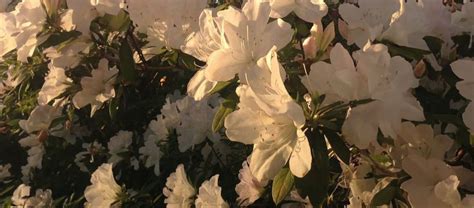 110 Ui Design Tutorial Ideas In 2025 Ui Design Tutorial Design Tutorials Ui Design