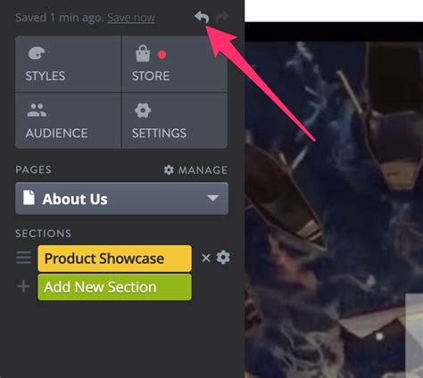 Undo Redo Buttons And Site History Strikingly Help Center