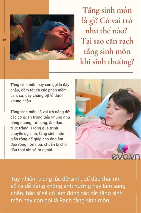 C Bao Nhi U M Y Hi U Ng V R Ch V Kh U T Ng Sinh M N Khi Sinh Th Ng