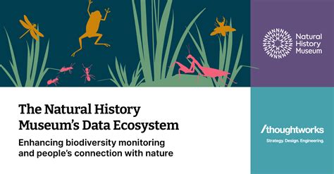 Enhancing Biodiversity Monitoring And Peoples Connection With Nature The Natural History