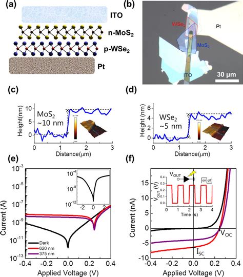 A Schematic Device Cross Section View Of Our PN Diode The PN Download Scientific Diagram