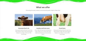 How To Create A Custom Shape Divider In WordPress Ways