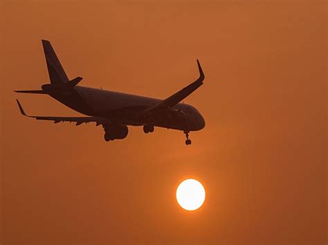 Dgca Probes Air India After Aircraft Operated On Expired Airworthiness Certificate The Tribune
