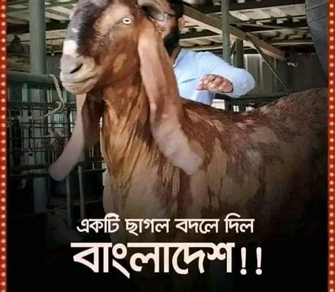 Faisul Alam Posted On Linkedin