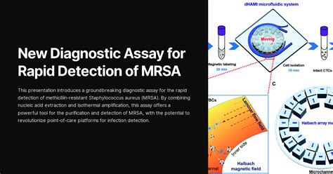 New Diagnostic Assay For Rapid Detection Of Mrsa