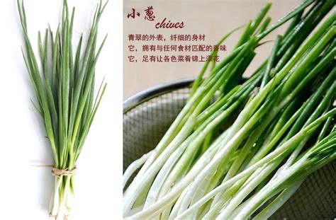四季小葱 大葱小葱 小葱 大山谷图库
