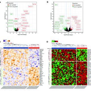 Construction Of Sex Difference Immune Related CeRNA Networks A Download Scientific Diagram