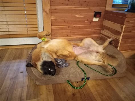 Ms Winnie Winnie Winnie Goes To The Big City Notes From The Night Desk