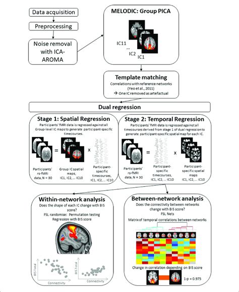 Illustration Of The Steps Followed During Resting State Functional