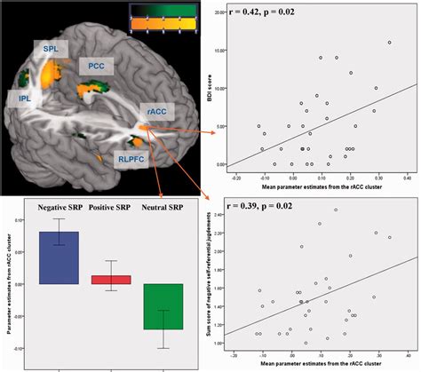 Brain Regions Showing Significant Bold Signal Difference Comparing