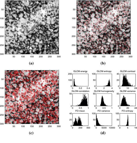 Texture Analysis Process A Input Slice Sample Download Scientific