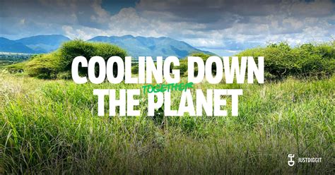 Business Newsletter Justdiggit