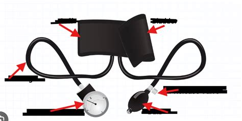 Lab 5 Sphygmomanometer Diagram Quizlet