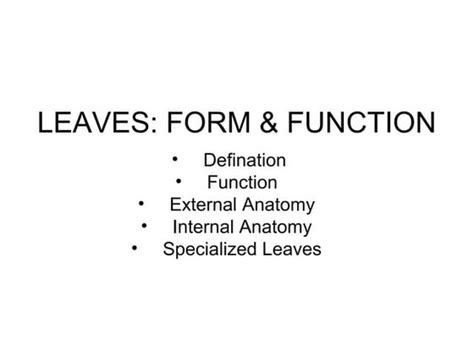 Morphology Of Leaf With Special Reference To Leaf Shape Surface Margin Apex Base Pdf