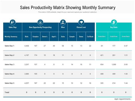 Sales Productivity Matrix Showing Monthly Summary Presentation Graphics Presentation