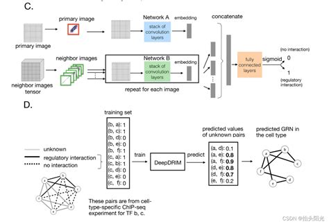 Deepdrim：使用单细胞 Rna Seq 数据重建细胞类型特异性基因调控网络的深度神经网络基因调控网络的重建 Csdn博客