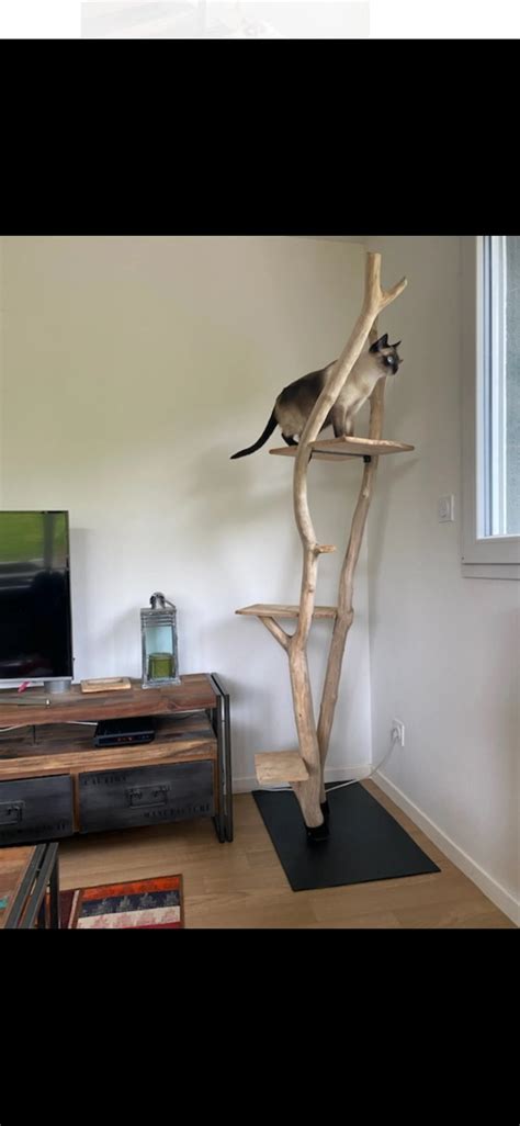 Driftwood Cat Tree Etsy Diy Cat Tree Cat Tree Cat Furniture Diy