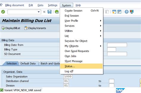 Report Variant Transport SAPCODES