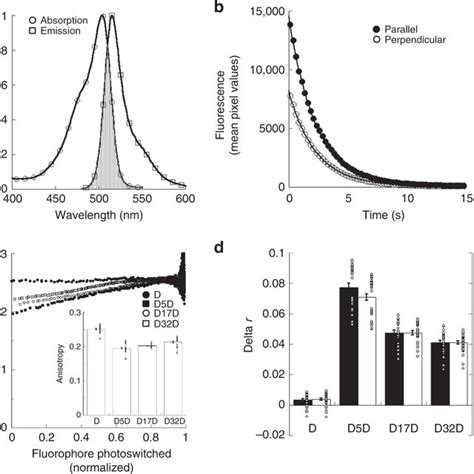 Principle Of Photoswitching Anisotropy Fret A Illumination Of A Download Scientific Diagram