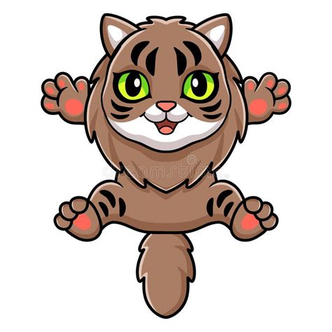 Cute Little Siberian Cat Cartoon Stock Vector Illustration Of Breed