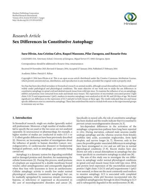 Pdf Sex Differences In Constitutive Autophagy