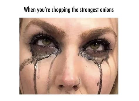 30 Wild Memes That Prove The Internet Has No Chill Funny