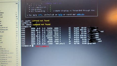 c serial com freeze ctrl c release it no idea where to begin debug embedded linux