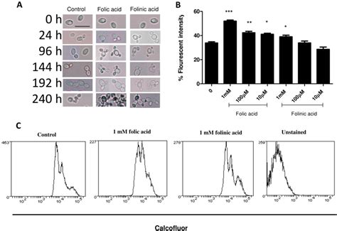Figure 2 Exogenous Folate Effects On Yeast Growth