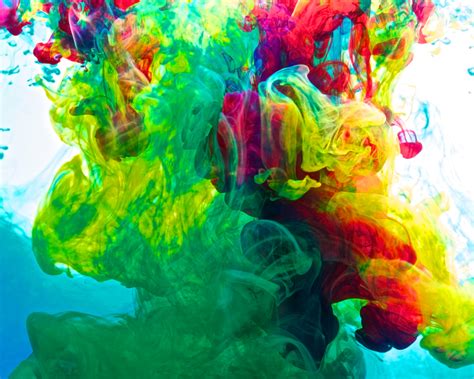 courses md jahid hasan