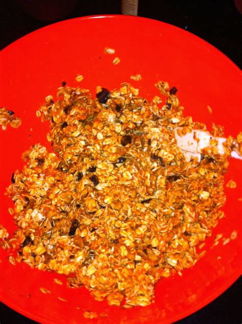 Fit Forward Wellness Pumpkin Granola Bars