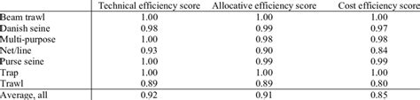 Average Efficiency Scores Download Table
