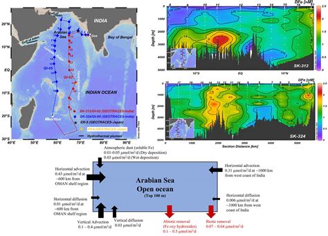 Specific Features Characterize The Dissolved Iron Distribution In The North Western Indian Ocean
