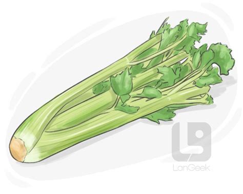 Definition And Meaning Of Celery Langeek