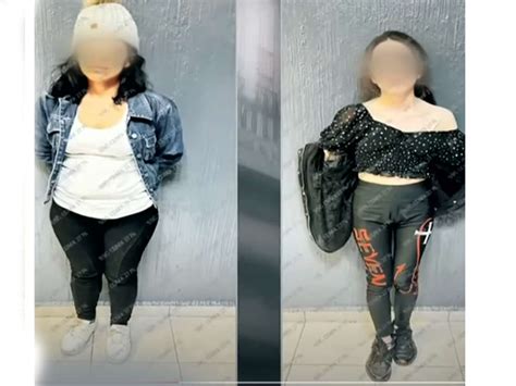 Chapis Busca Hogar Temporal Es El Perrito Que Mordió A Mujer Policía