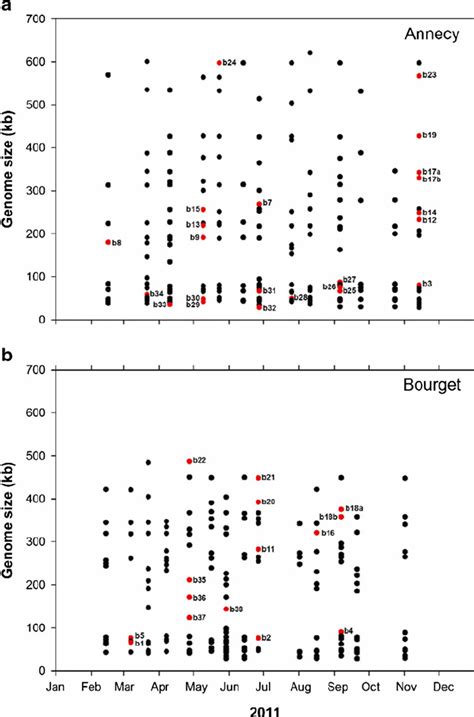 Schematic Representations Of The Genomic Size Distributions Of Viral