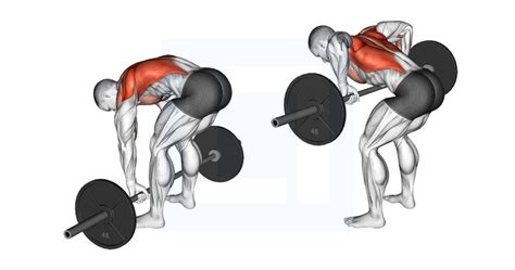 Barbell Pendlay Row Guide Benefits And Form