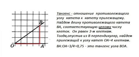 Найдите тангенс угла Aob изображенного на рисунке Школьные Знания Com