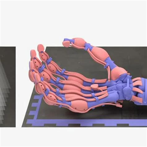 Crean Mano Robótica Con Impresión 3d Tiene Huesos Ligamentos Y Tendones