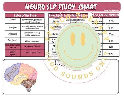 Neuro Slp Study Charts Neuroscience Neurology Slp Study Notes Slp