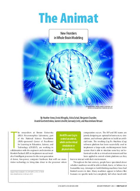 Pdf The Animat New Frontiers In Whole Brain Modeling