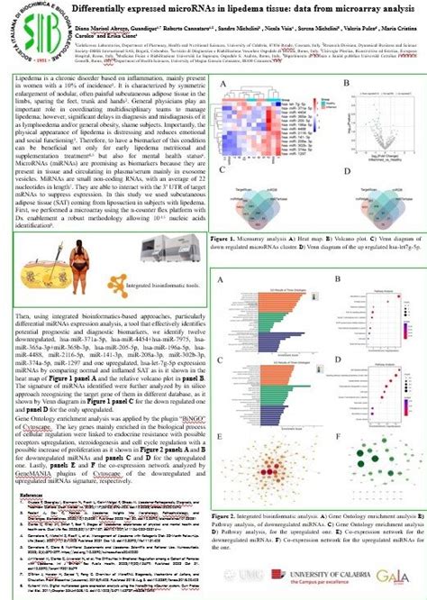 Pdf Differentially Expressed Micrornas In Lipedema Tissue Data From Microarray Analysis
