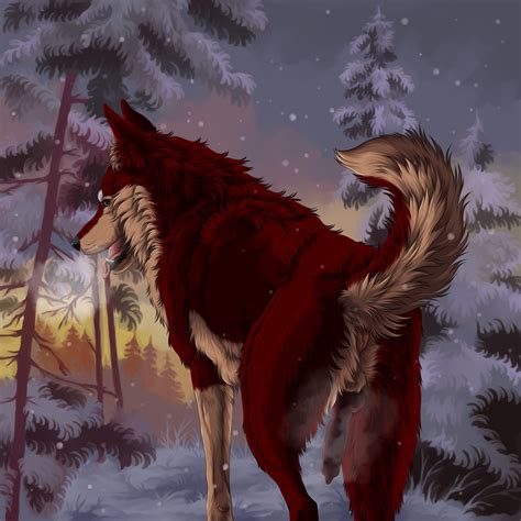 Rule 34 11 2022 Animal Genitalia Animal Penis Anus Balls Breath Canid Canine Canine Penis