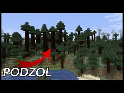 What Is Podzol Used For In Minecraft