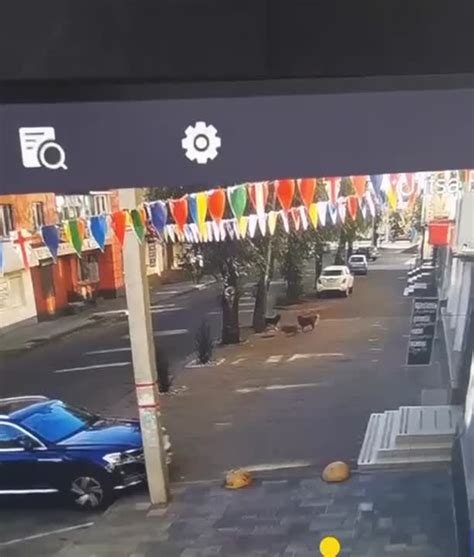 Andreas Umland Posted On Linkedin