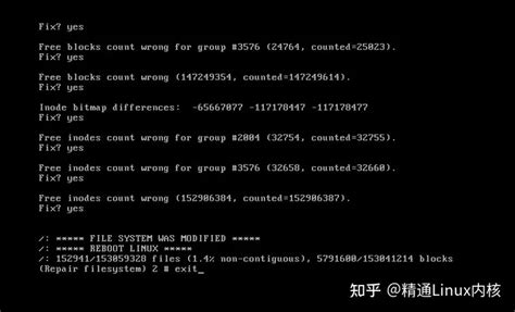 Linux使用fsck修复文件系统 Csdn博客